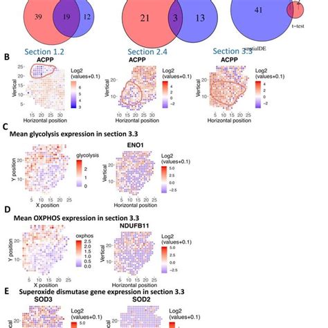 figure s1 a overlap of genes identified as spatially variable by