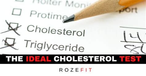 the real cholesterol measurement you should care about rozefit