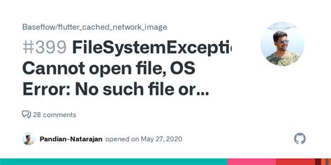 FileSystemException Cannot Open File OS Error No Such File Or Directory Errno Was Thrown