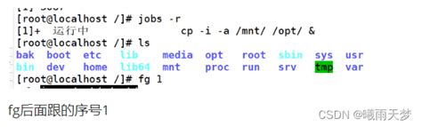 linux：进程和计划任务管理 csdn博客