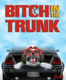 Bitch In The Trunk Gta Wiki Fandom