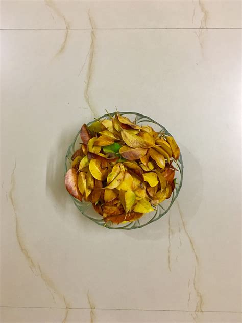 T For Tree On Behance