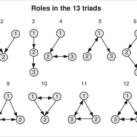 A A Directed 3 Node Subgraph Triad B This Triad Has Two Roles C