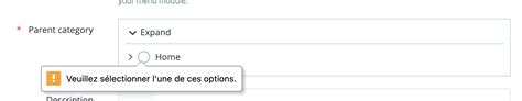 Bo The Browser Is Unable To Show The Error Message On An Hidden