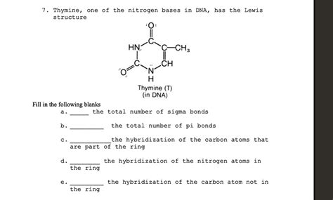 Thymine One Of The Nitrogen Bases In Dna Has The Lewis Structure Hn C Ch H Thymine T In Dna Fill
