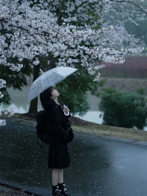 Adonet Architecture Connected Vs Disconnected Medium