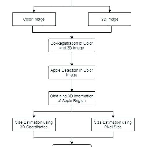 PDF Apple Fruit Size Estimation Using A D Machine Vision System
