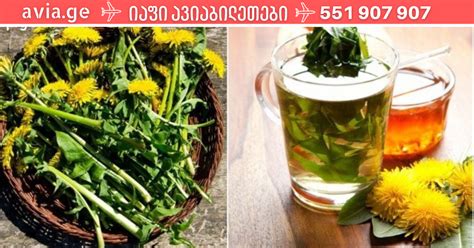 ბაბუაწვერას ფესვები 12 დაავადების წინააღმდეგ მოამზადეთ საოცარი ნაყენი მარტივად Vap Ge