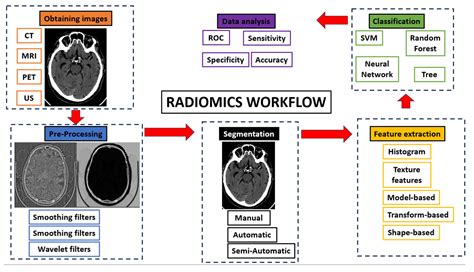 Radiomics In Clinical Management Of Acute Ischemic Stroke Encyclopedia Mdpi