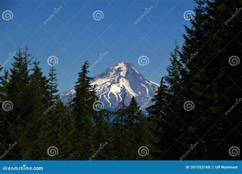 Panorama Of Mount Hood Volcano In The Cascade Range Oregon Stock