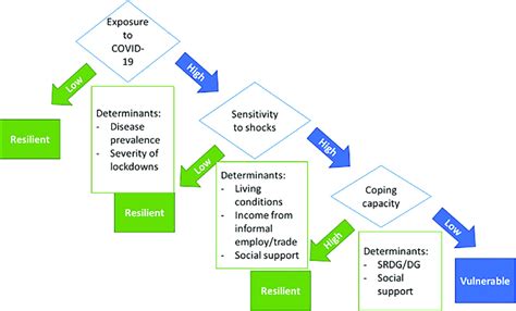 Determinants Of Vulnerability And Resilience Experienced By Tb Patients