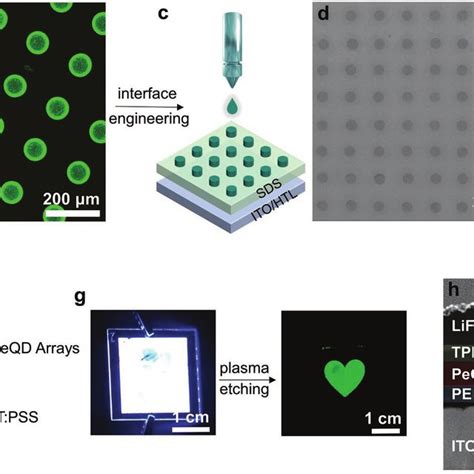 Pdf Microscale Perovskite Quantum Dot Light Emitting Diodes Micro Peleds For Full Color Displays