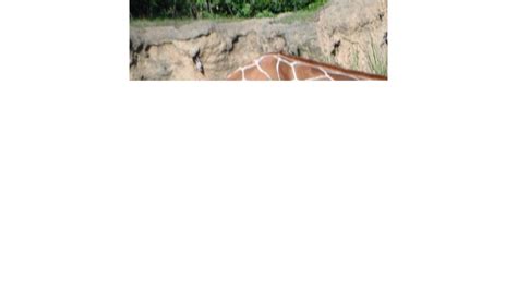 jquery resize image proportionally 2