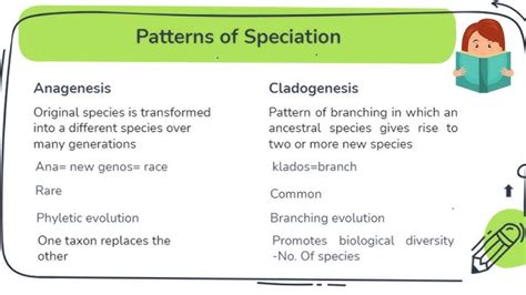 Speciation Examples