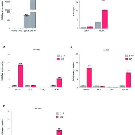 Analysis Of Biomarkers Expression And Release In Pca Cell Lines A