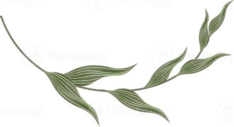 Flowers And Leaf 10857133 Png