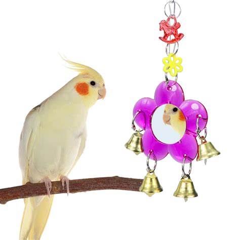 Parakeet Colors