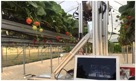 L A B Fruits A Rapid And Robust Outdoor Fruit Detection System Combining Bio Inspired Features