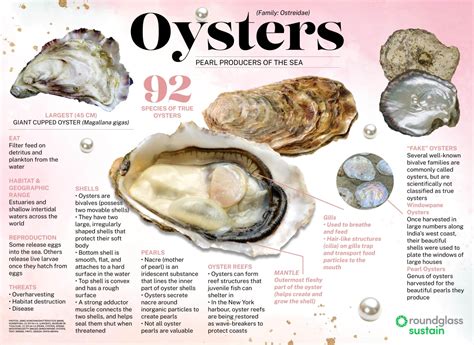 Oyster Species Threats And Habitat