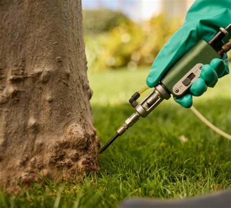 Commercial Nuisance Pest Control Trugreen