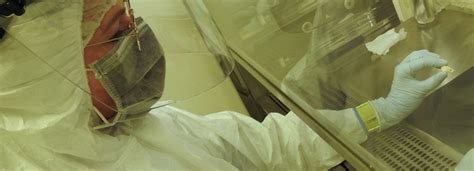 Archaeological Breakthrough New Method Extracts Human Dna Mirage News