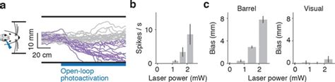 Figures And Data In Neural Coding In Barrel Cortex During Whisker