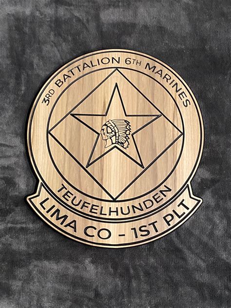 Usmc 3rd Battalion 6th Marines Unit Emblem Etsy