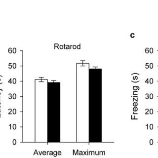 Learning Memory And Motor Performance A Novel Object Recognition Download Scientific