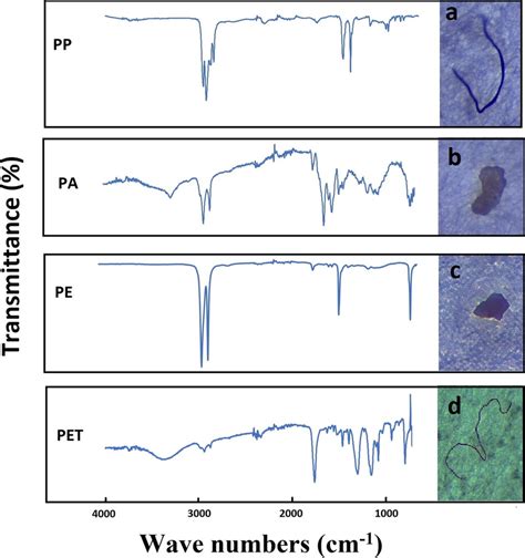 Stereomicroscope Photographs And Ftir Spectrums Of Microplastics In The