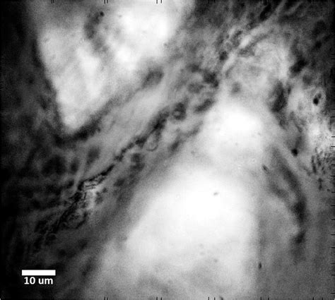 Structured Illumination Microscopy Using Random Intensity Incoherent Reflectance
