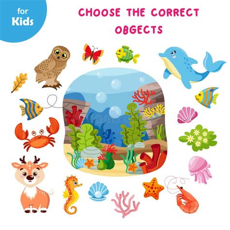 Mini Juego Para Niños Escoja La Imagen Correcta Tema Marino Fauna