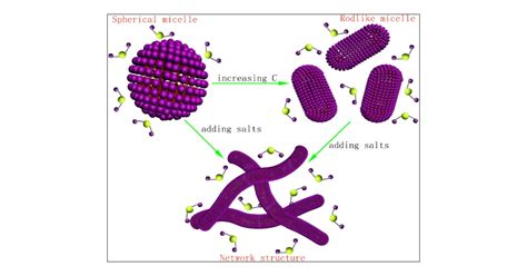 Rheological Properties Of Viscoelastic Solutions In A Cationic Surfactant Organic Salts Water