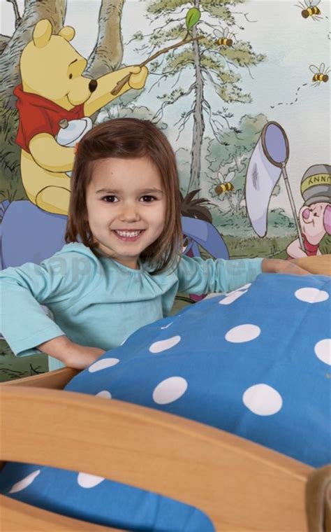 Fototapety Disney Medvídek Pú dům Medvídka Pú rozměr 368 cm x 127 cm