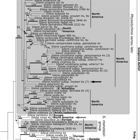 One Of 5840 Most Parsimonious Trees Found In The Analysis Of The Its Download Scientific
