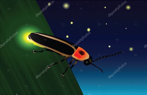 How To Draw A Lightning Bug Lightning Getdrawings Step By Step Drawing