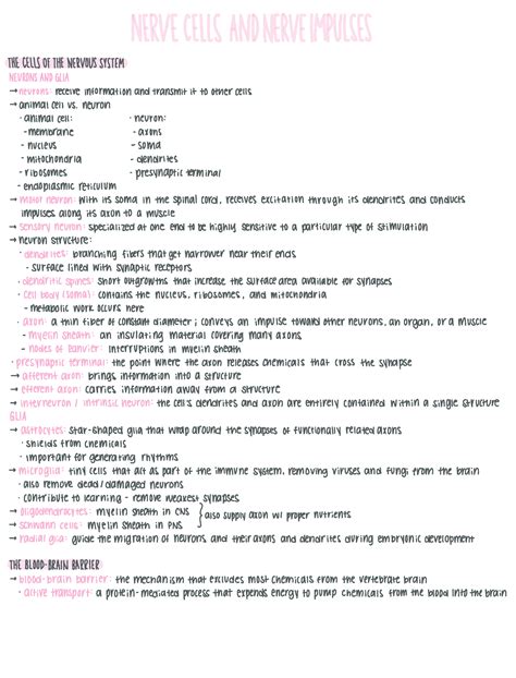 Module Five Book Notes Cells And Synapses Structures And Functions HE CELLS OF THE