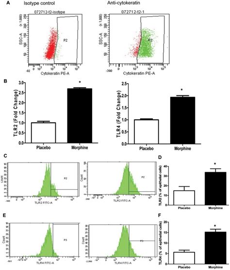 A Isolated Cells Were Fixed Using Ebioscience Fixation And