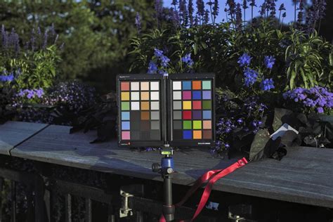 Linear File Generated From Dpp4 Useful In Darktable Processing