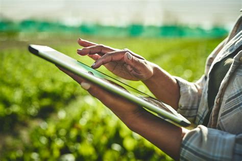 Harvesting Ai Driven Insights And Efficiencies With Agricultural Data