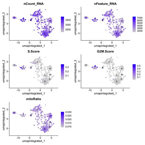 R语言学习笔记:从数据清洗到高级统计学和生物信息学 多个单细胞数据集整合分析(下) R语言学习笔记:从数据清洗到高级统计学和生物信息学 多个单细胞数据集整合分析(下)