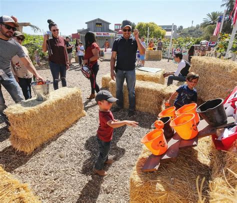 Bronco Corn Maze Na Cal Poly Pomona Pumpkin Fest Ultimátní Podzimní