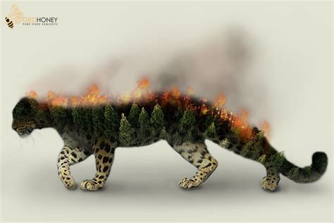 Australian Report Reveals Biodiversity And Habitat Loss Is Severely Deteriorating Know The