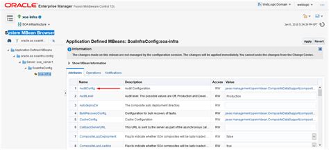 soa jp solucionar excepción con audit trail enormes en soa suite
