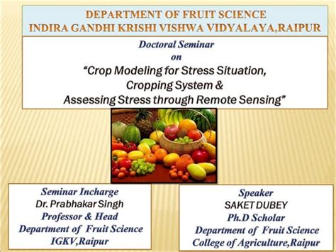 Crop Modeling For Stress Situation Ppt