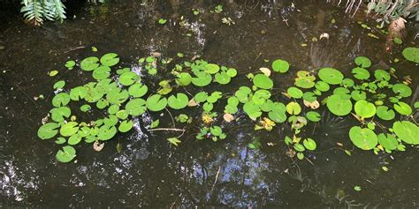 About Fixed Annuities Brief Summary Cinsure