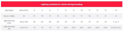 Cobb Breeder Management Guide Brooding Design And Management The