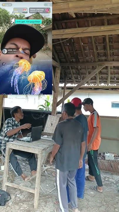 Beras Habis Live Solusinya PT SADBOR - YouTube