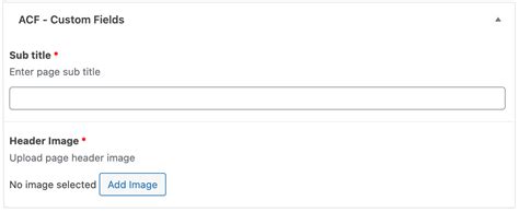 How To Use Acf Advanced Custom Fields Plugin In Wordpress W3 Programmings