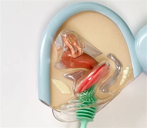 Mess Free Period Sex With Menstrual Discs Period Nirvana