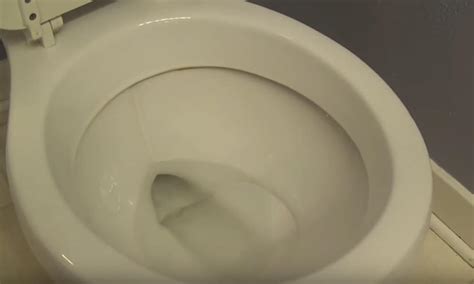 How To Drain Your Toilet Quickly 5 Easy Ways